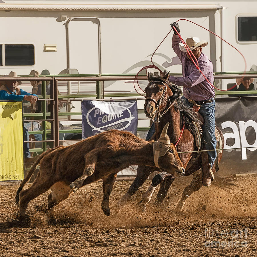 Team Roping – Cottonwood Creek Feed Store